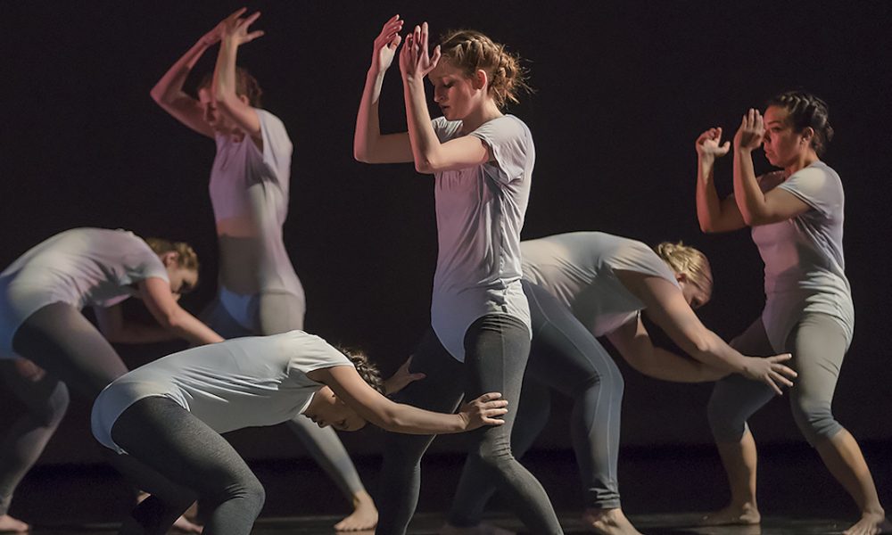Dance Canvas’ ninth annual showcase – 'Introducing the Next Generation'