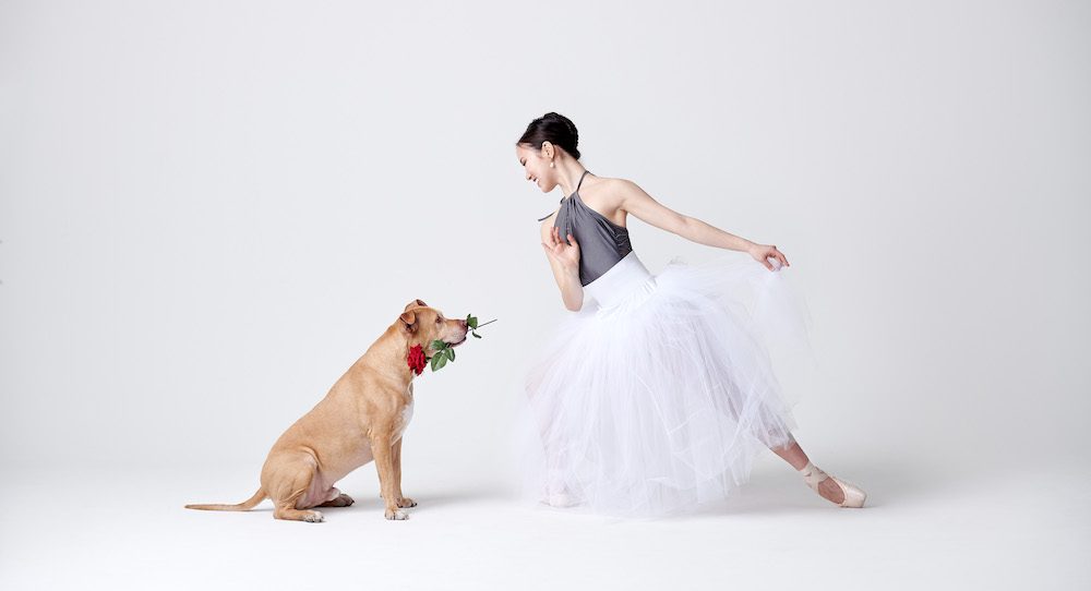 'Dancers and Dogs' photography project - Dance Informa Magazine