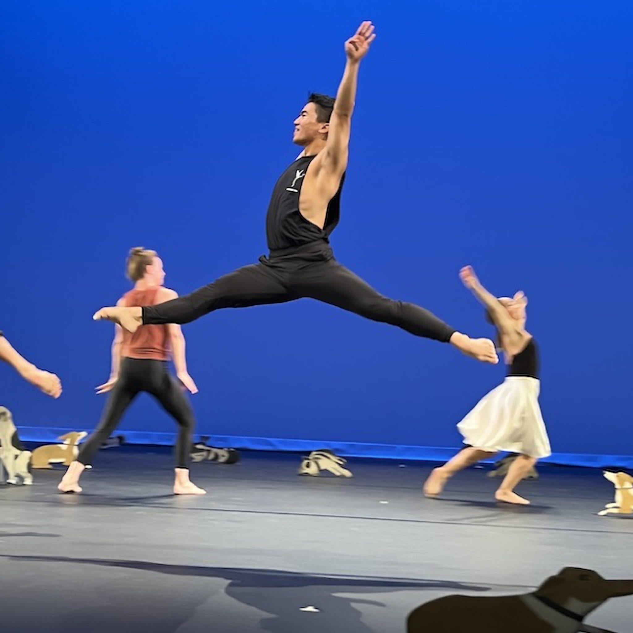 Paul Taylor’s Austin Kelly Lincoln Center - Dance Informa Magazine
